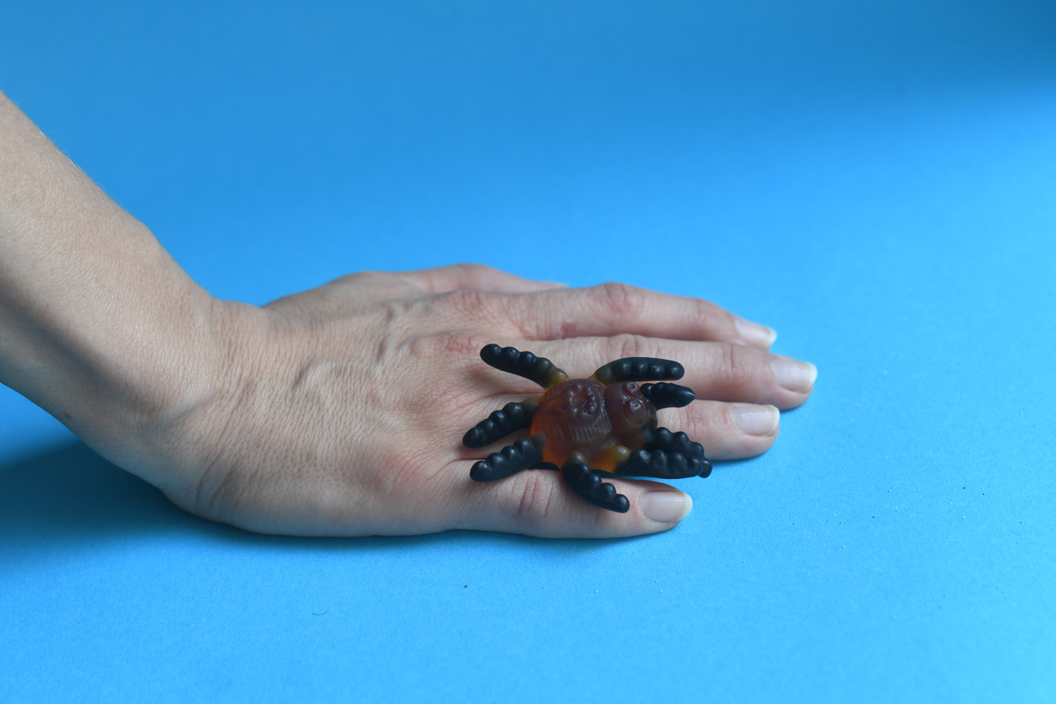 Expositionstherapie bei Dipl.-Psychologin Marion Linke